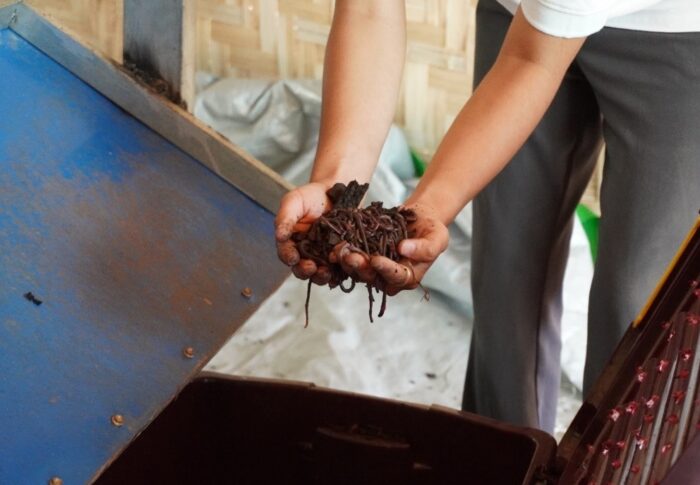 Young people in Myanmar grow green futures in agriculture - FHI 360